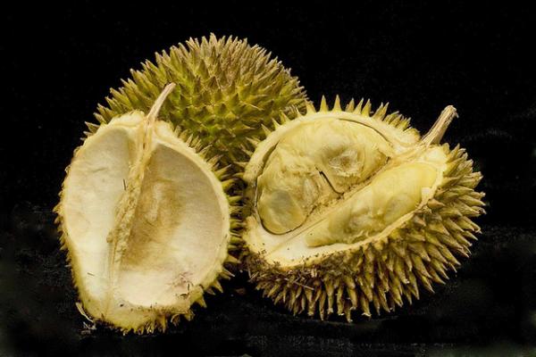 20 Fruits Incroyables Que PERSONNE Ne Connaît.
