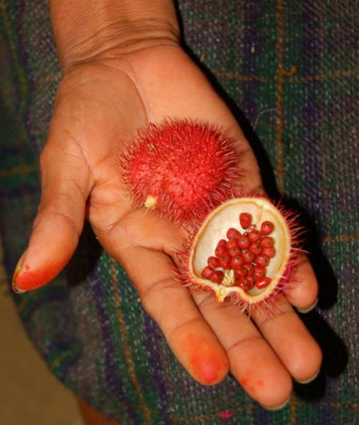 20 Fruits Incroyables Que PERSONNE Ne Connaît.